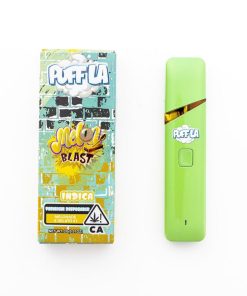 Puff La premium disposable 2G live resin vape - Puff LA disposable